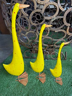 Yellow Runner Ducks– Col-ron